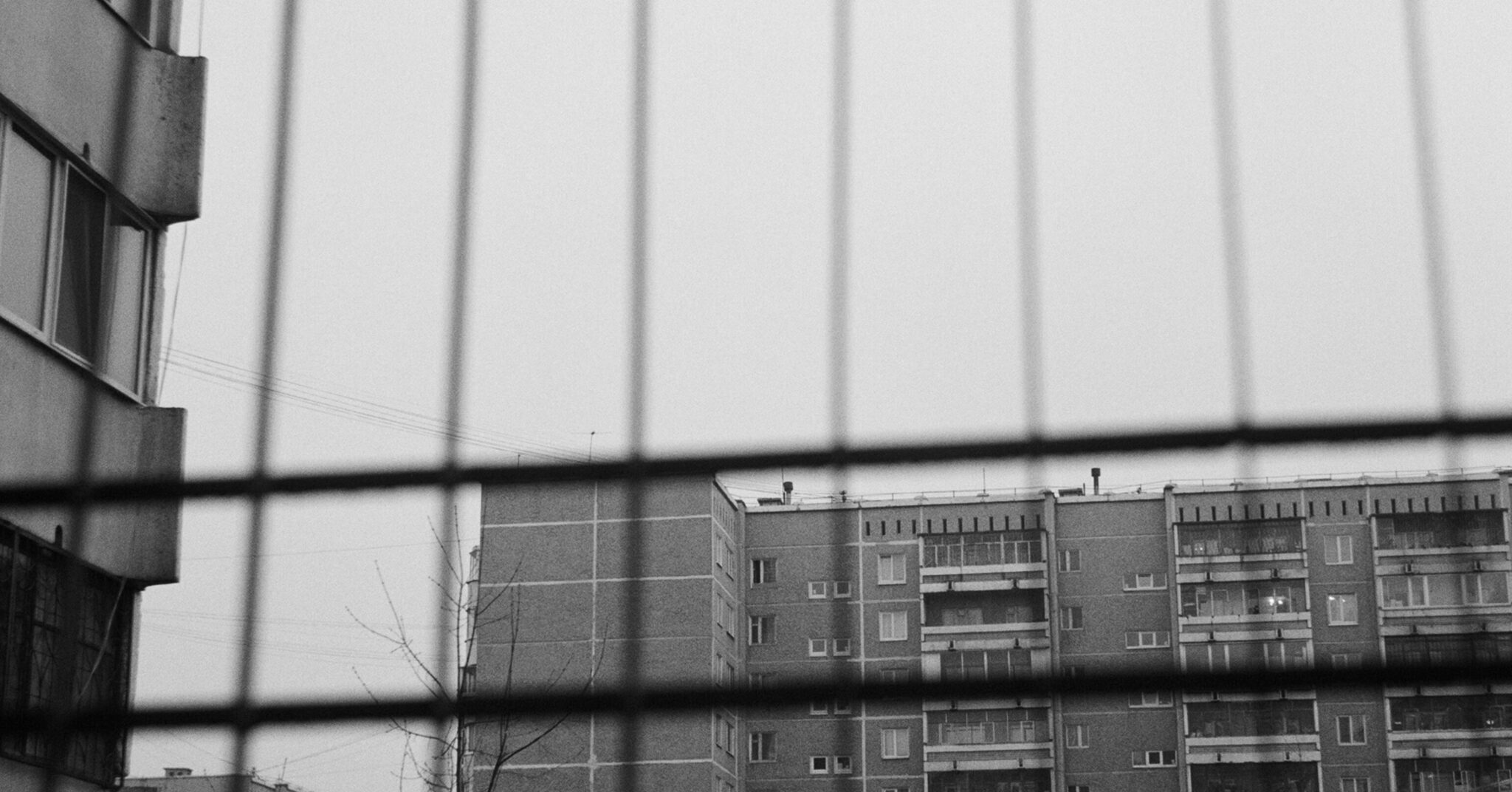 Human rights in the Russian Federation: an overview of trends. – Human ...